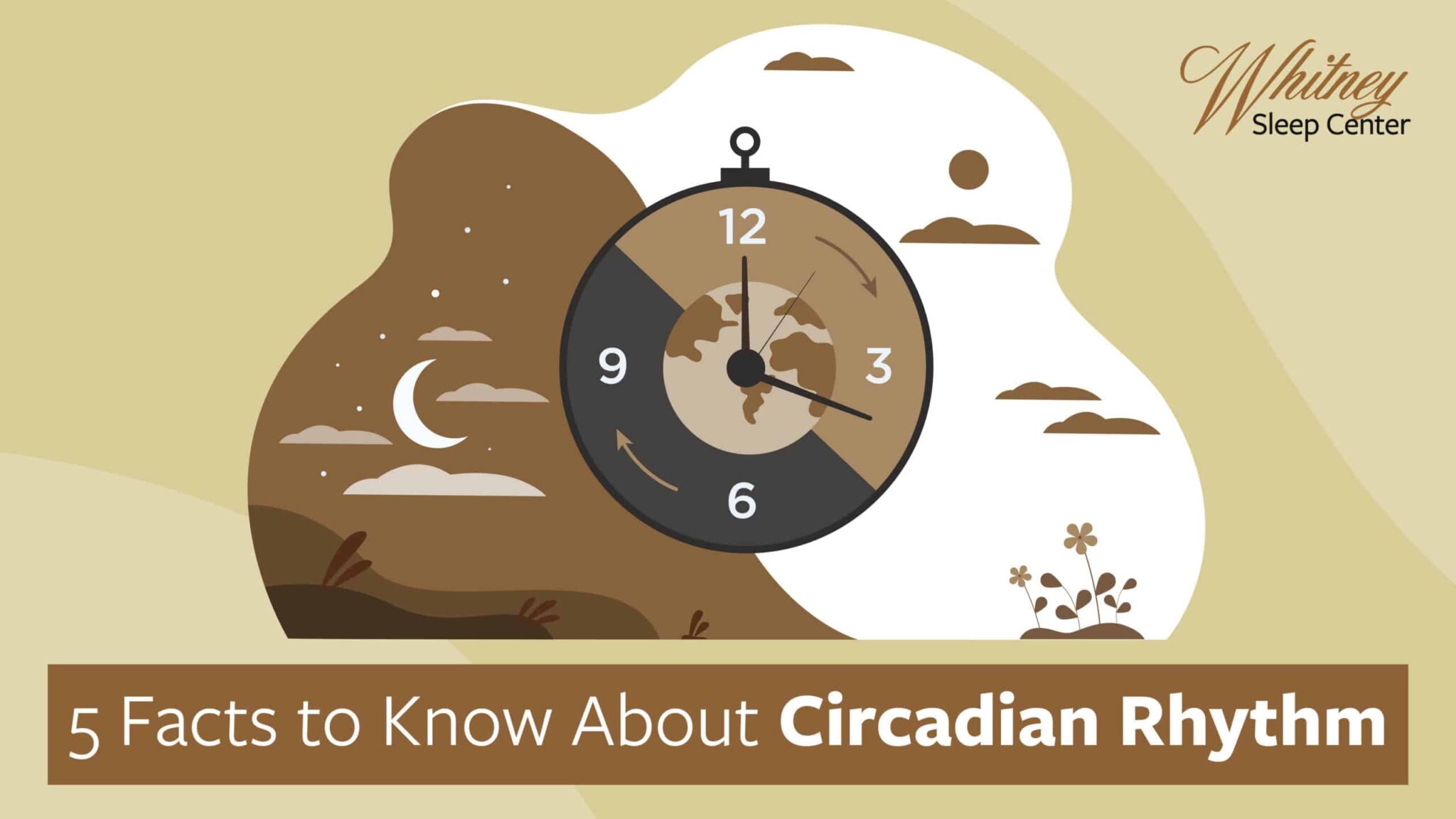 5 Facts to Know about Circadian Rhythm